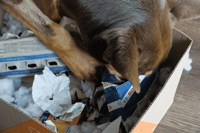 Maak een hersenwerk doe-doos - Zelf spellen maken - Hondtrainen.nl