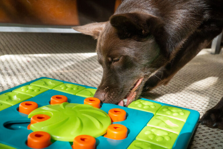 Recensie: MultiPuzzle - Hondenpuzzel - Hondtrainen.nl